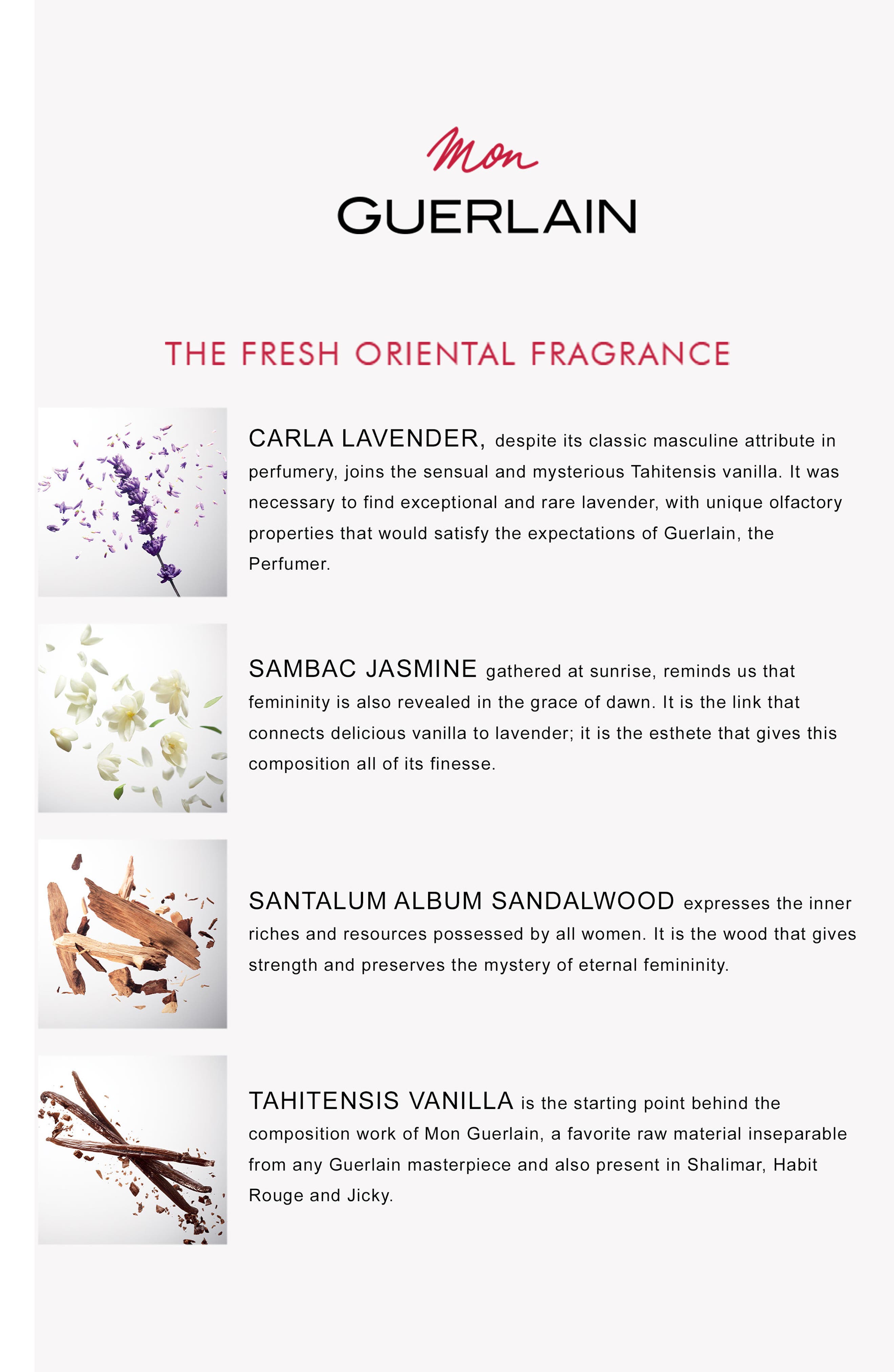 Guerlain Logo Vector