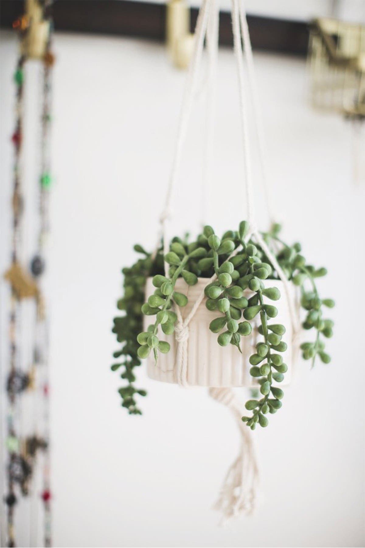 FLORA BUNDA White Faux Macramé Hanging Ceramic Planter | Nordstromrack