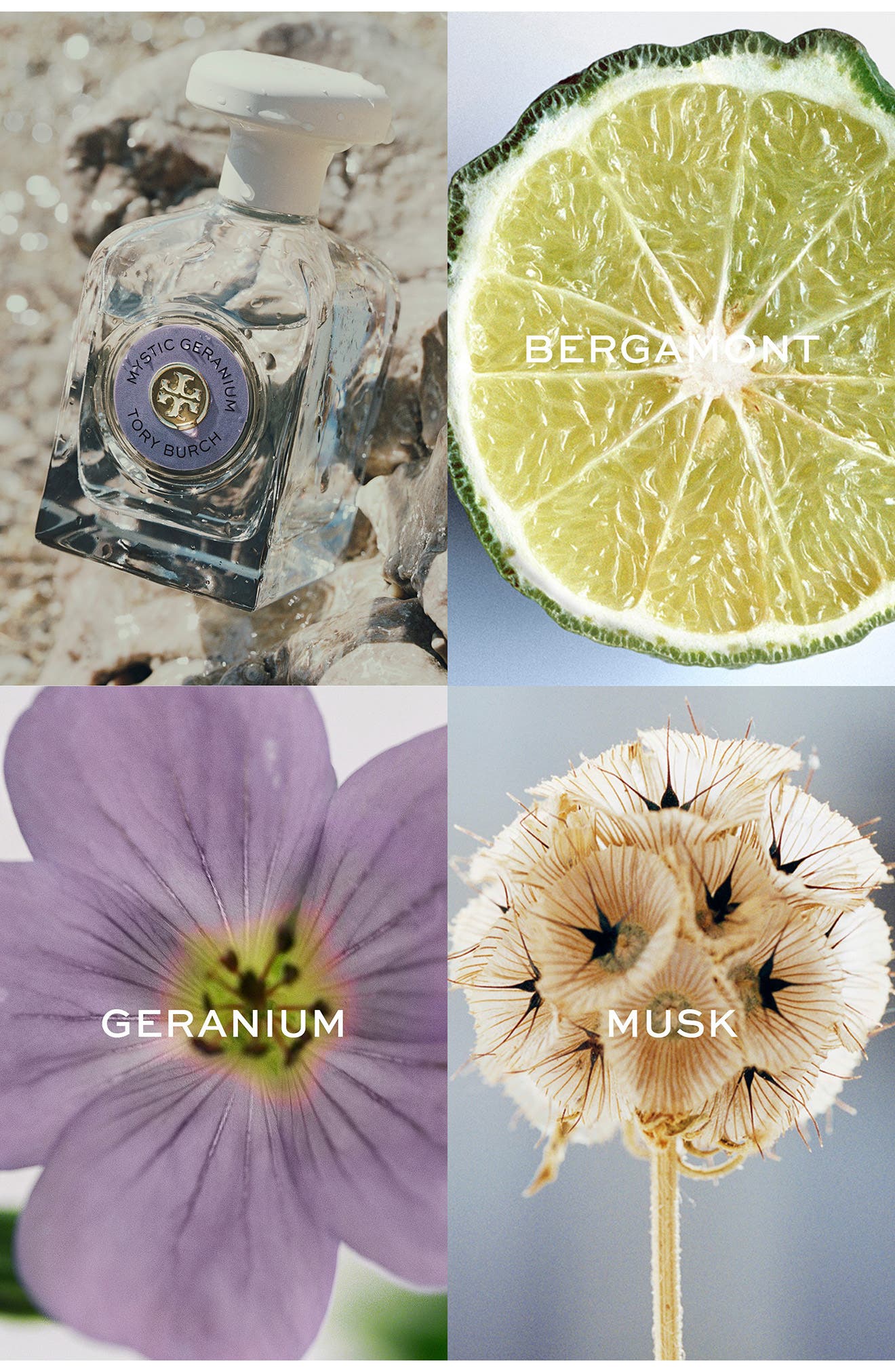 Tory Burch Essence of Dreams Mystic Geranium Eau de Parfum 3 oz ...