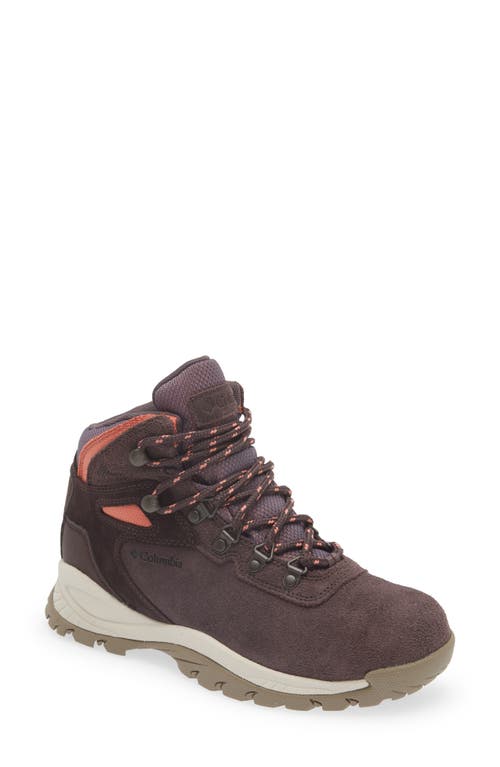 Columbia Newton Ridge Amped Waterproof Hiking Boot in Timber Cinder ...