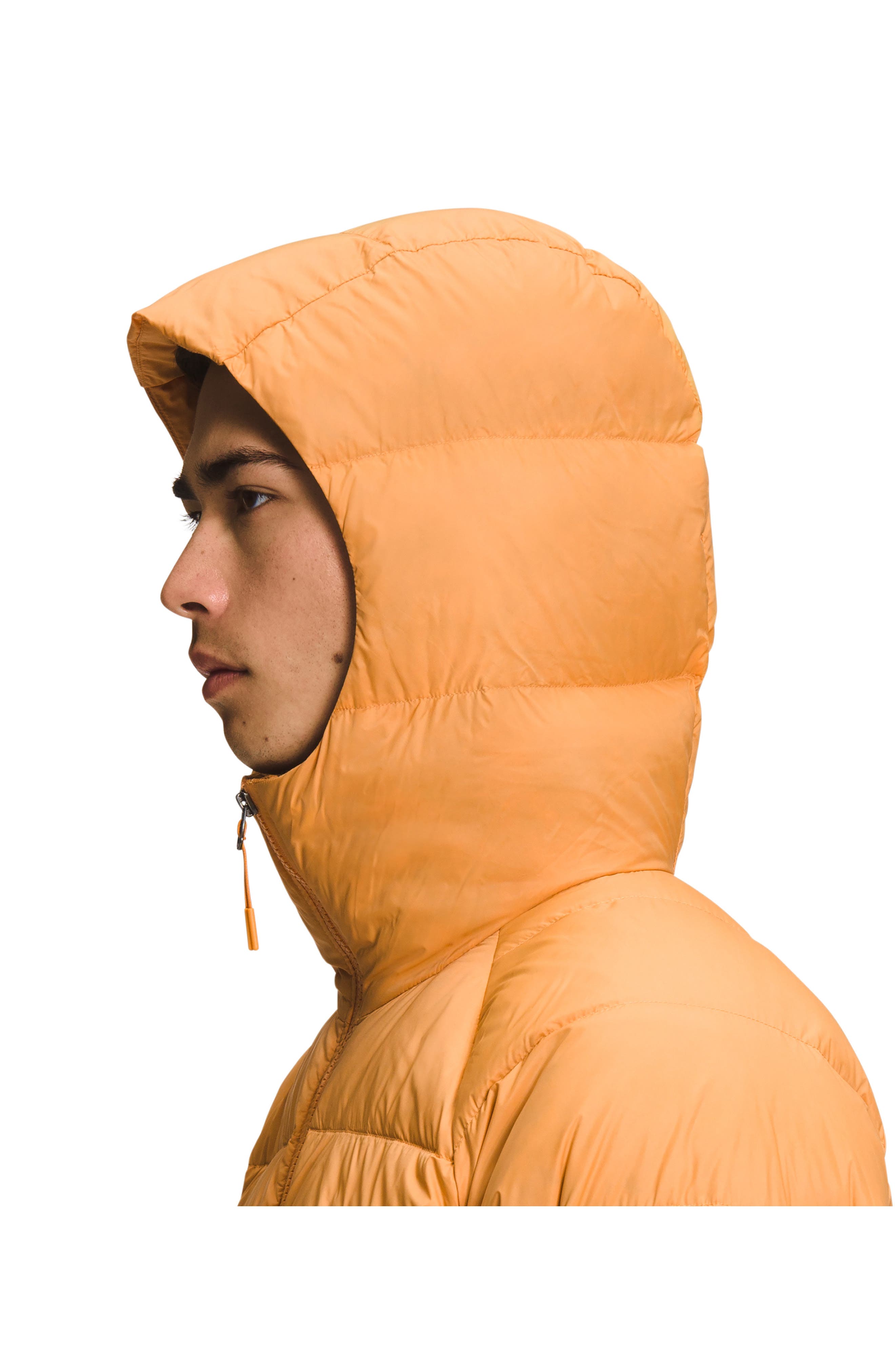 The North Face Hydrenalite 600 Fill Power Down Hooded Jacket | Nordstrom