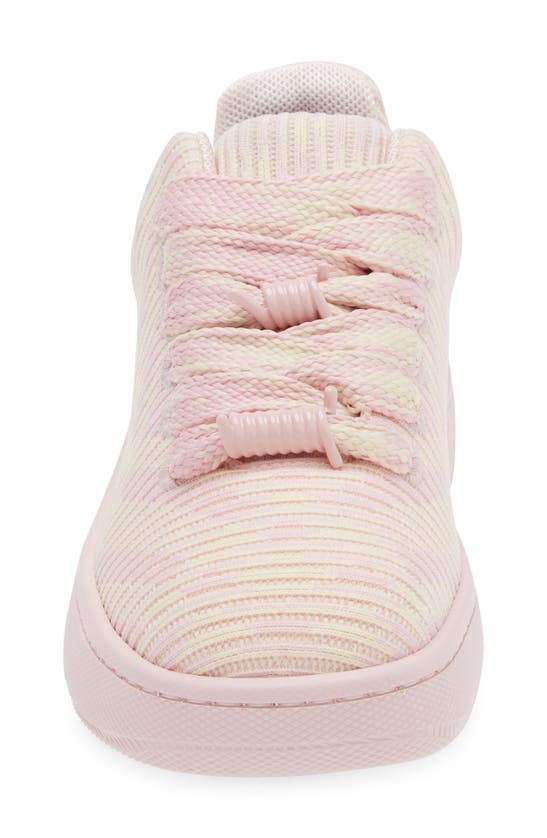 Burberry Knit Sneaker In Cameo Ip Check | ModeSens