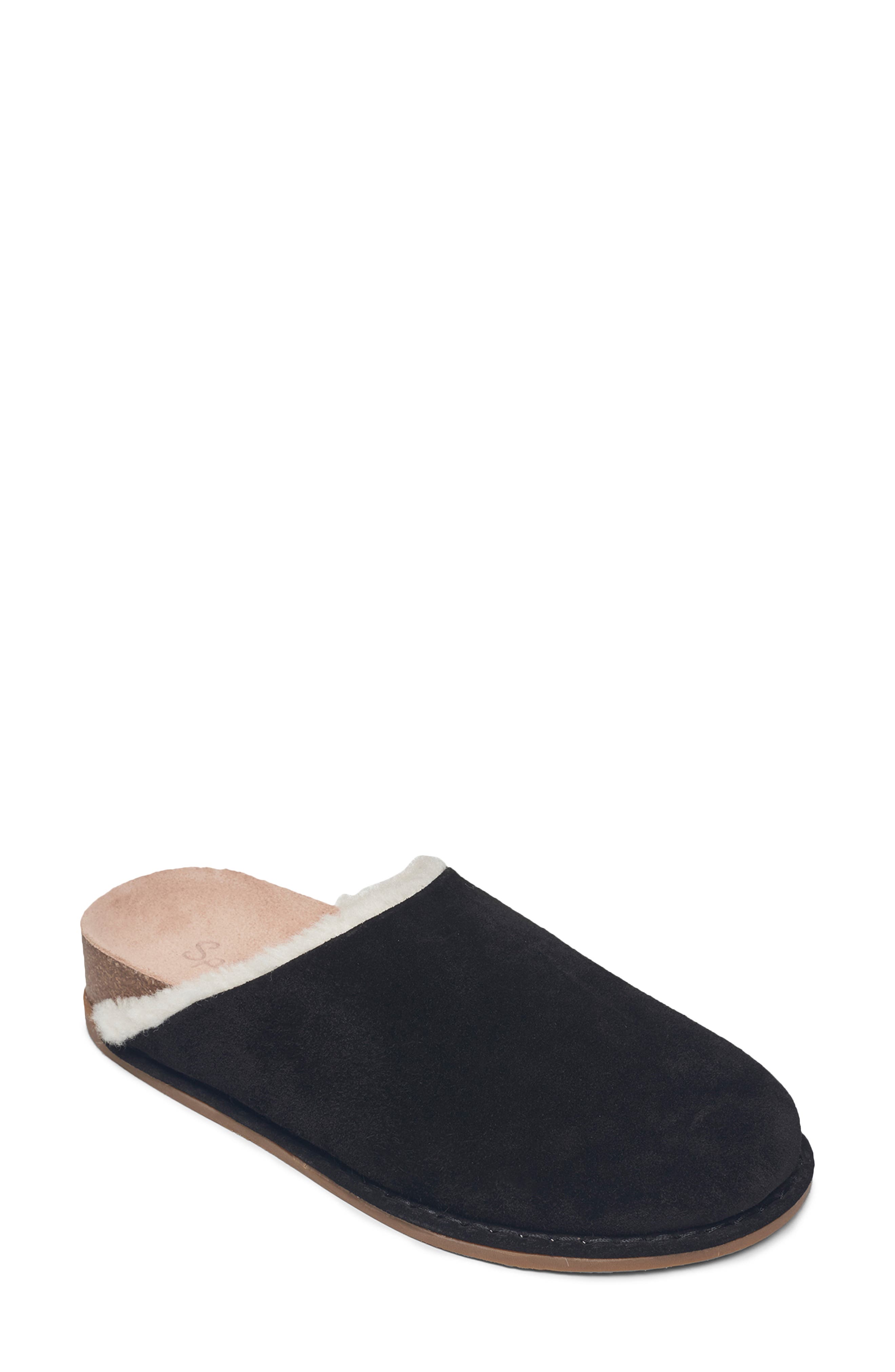 Splendid Cora Faux Shearling Lined Mule (Women) | Nordstromrack