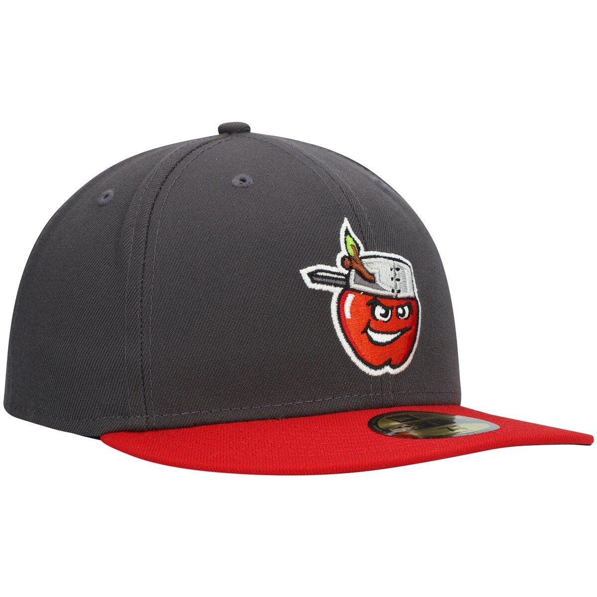 New Era Men's New Era Gray Fort Wayne TinCaps Authentic Collection Road ...
