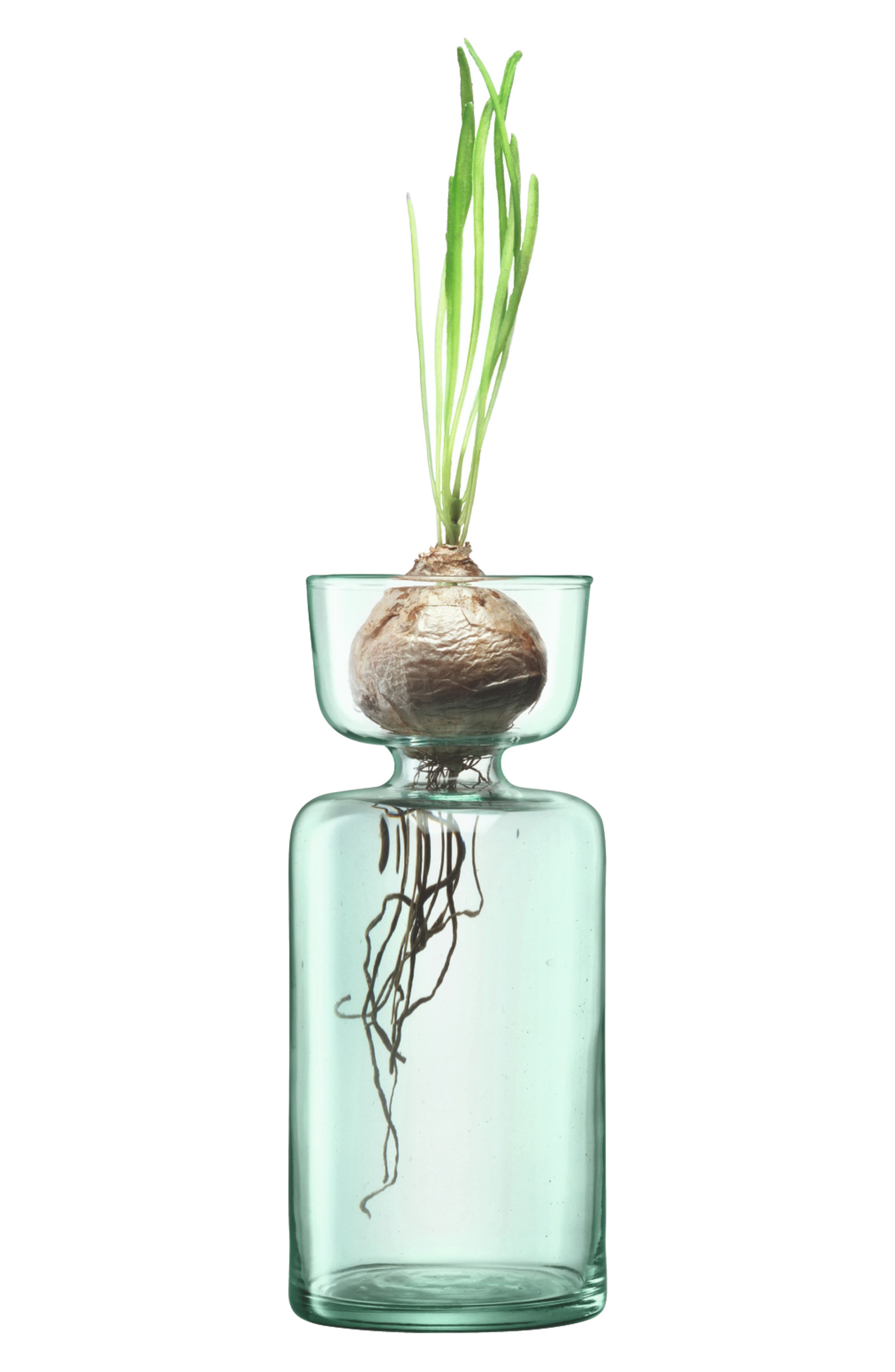 LSA Canopy Vase/Bulb Planter | Nordstrom