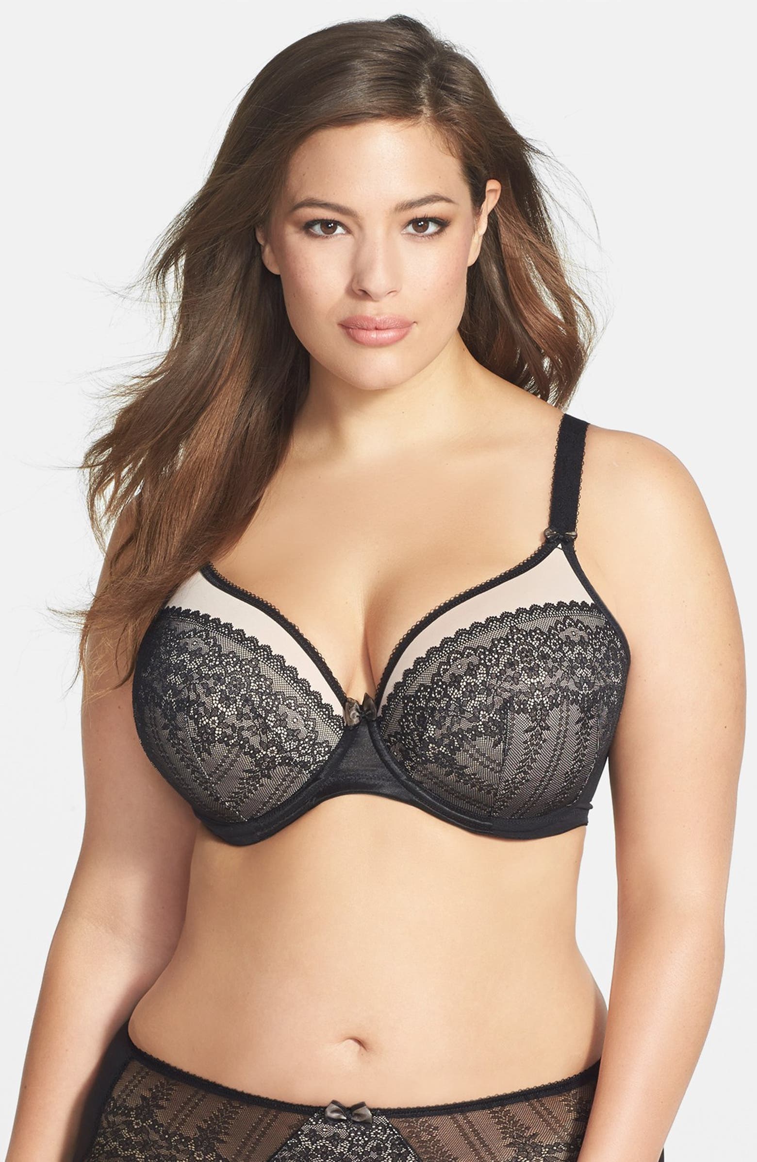Elomi Bijou Soiree Molded Underwire Bra Plus Size Nordstrom