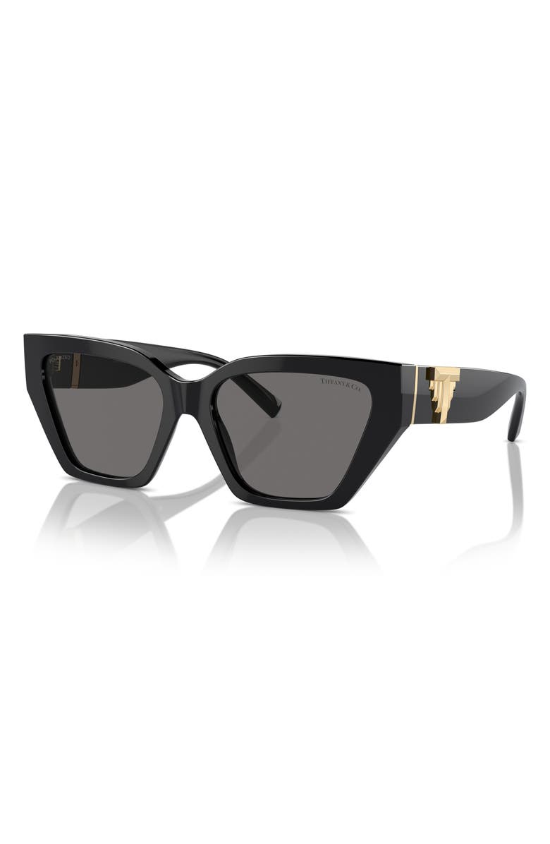 Tiffany And Co 55mm Polarized Cat Eye Sunglasses Nordstrom