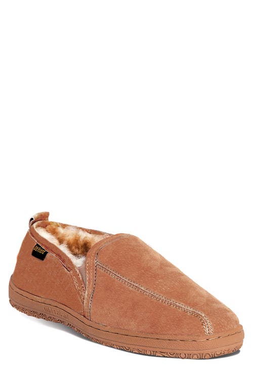 Old Friend Romeo Genuine Shearling Lined Slipper in Chestnut at Nords