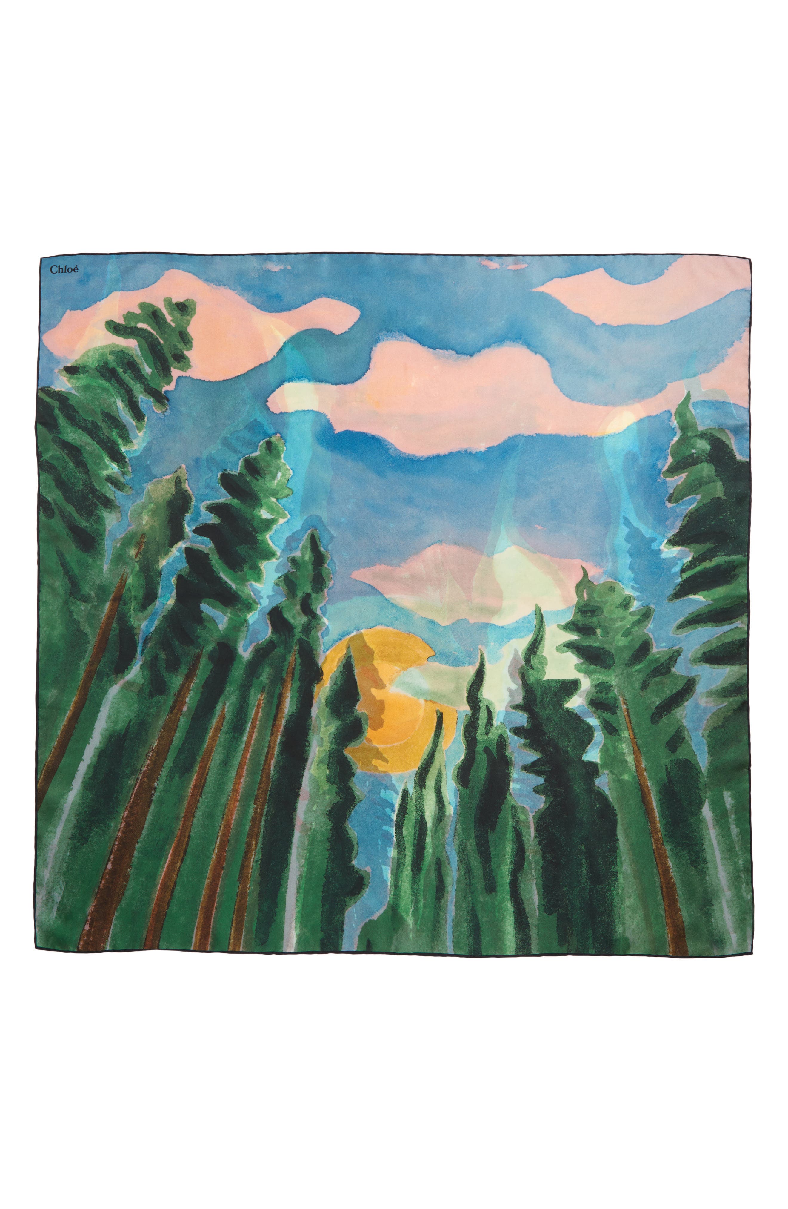 Chloé Climate Change Square Silk Scarf | Nordstrom