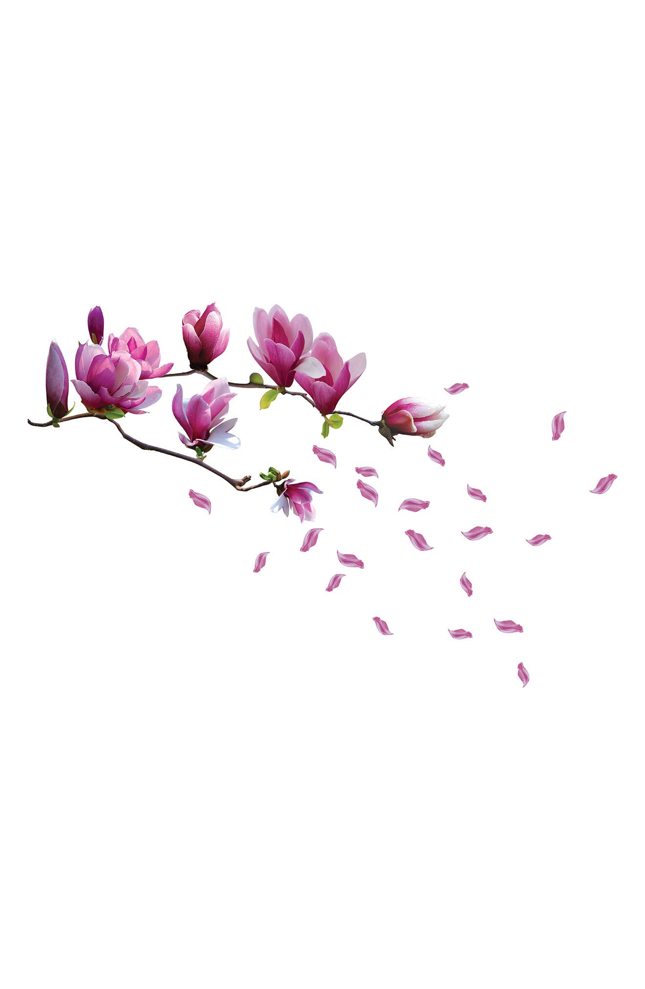 WALPLUS Magnolia Flower Decal Sticker Wall Decoration - Pack of 3 ...