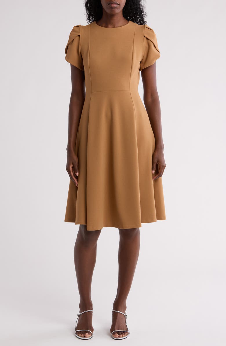 Calvin Klein Tulip Sleeve Fit & Flare Dress | Nordstromrack