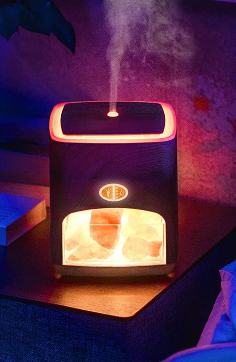 PURE DAILY CARE Himalayan Pink Salt Diffuser with 10 Essential Oils ...