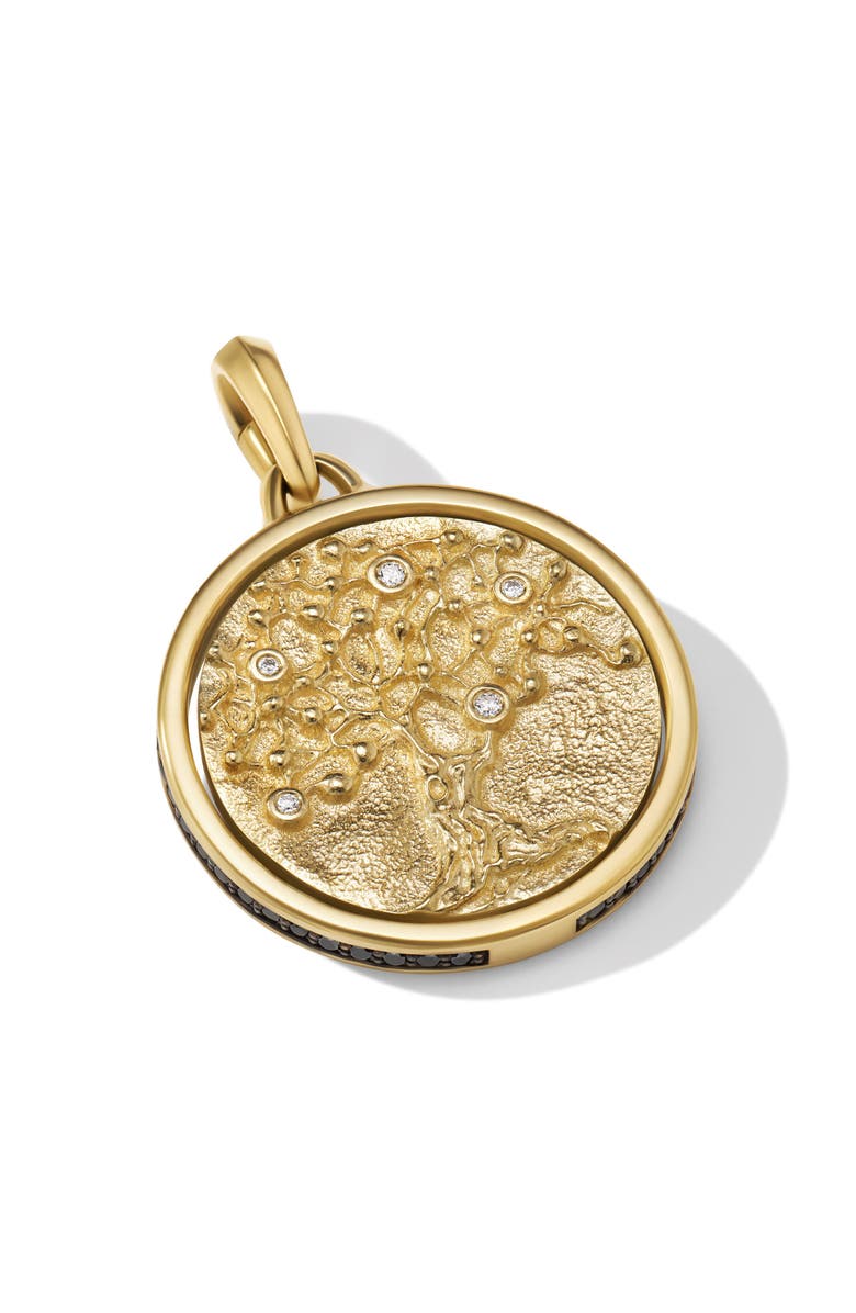 David Yurman Life & Death Amulet in 18K Yellow Gold | Nordstrom