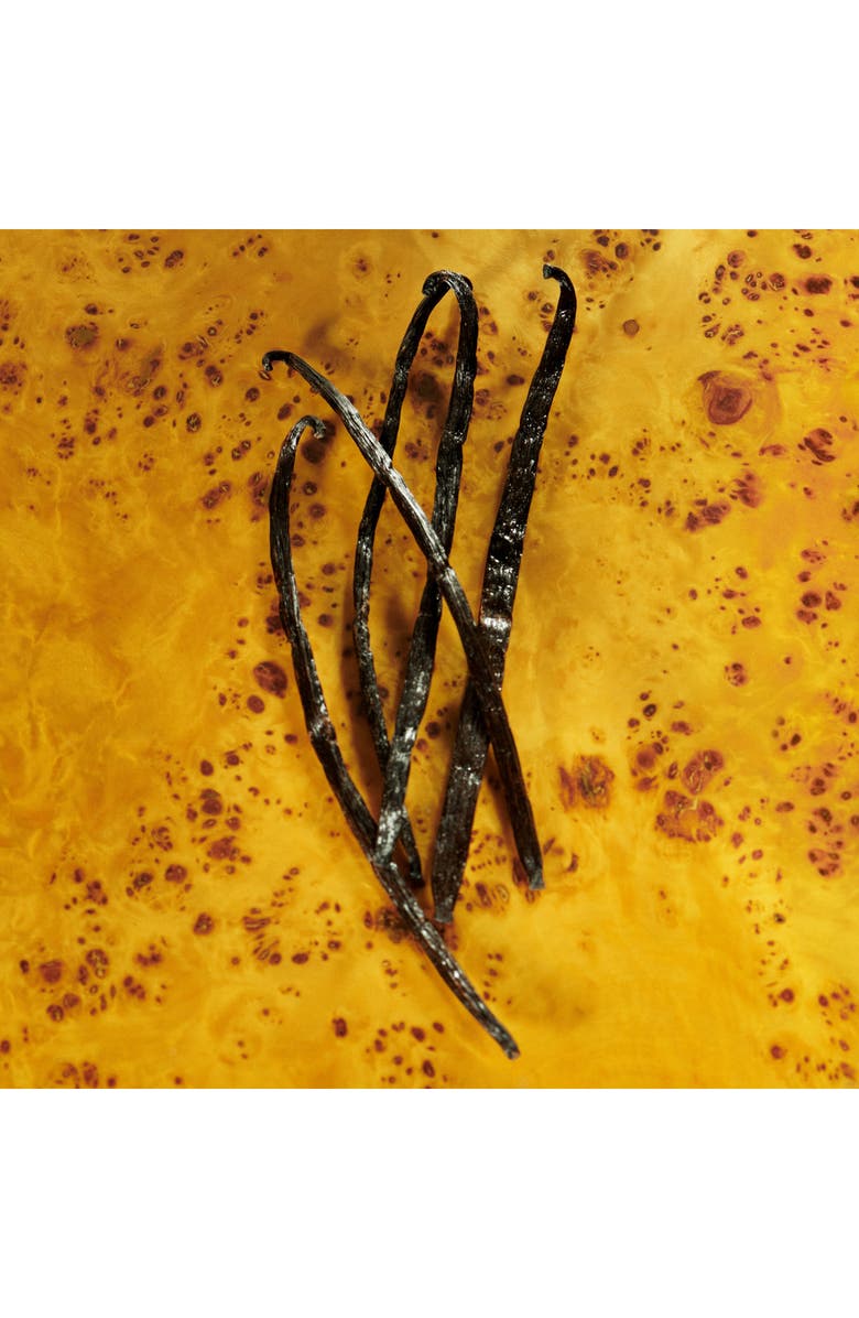 Gucci Guilty Elixir Eau de Parfum | Nordstrom