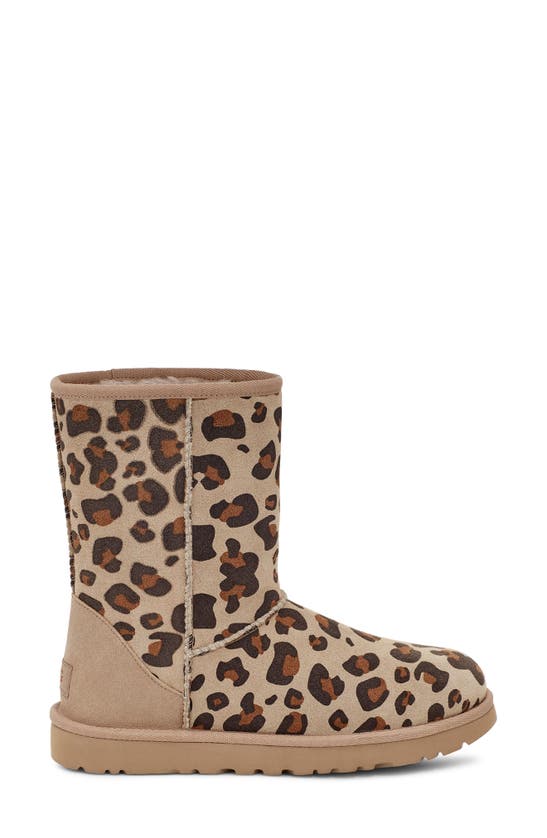 Ugg Classic Short Ii Genuine Sheepskin Lined Leopard Print Boot In ...