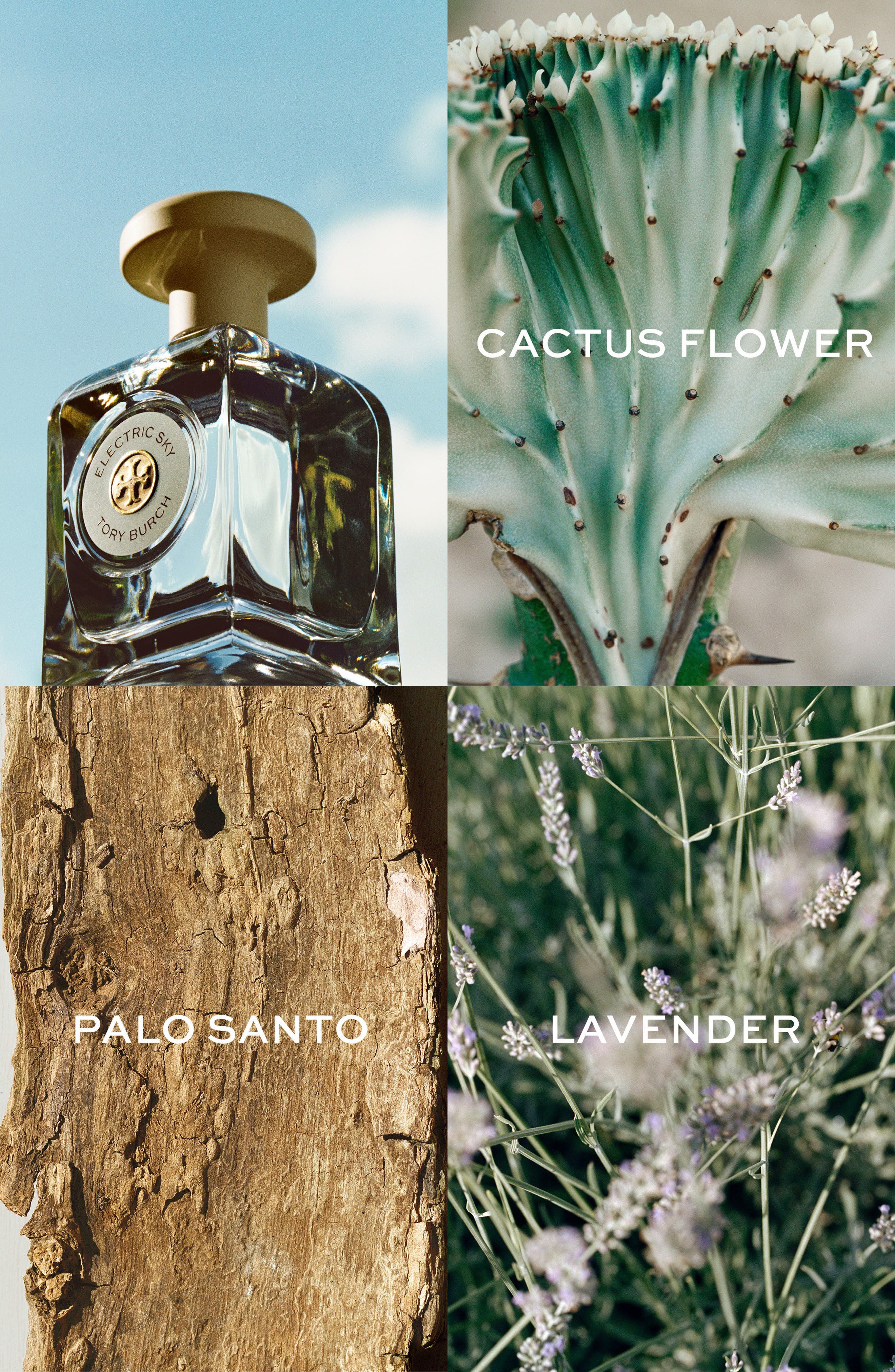 Tory Burch Electric Sky Fragrance Set (Limited Edition) USD $170 Value ...