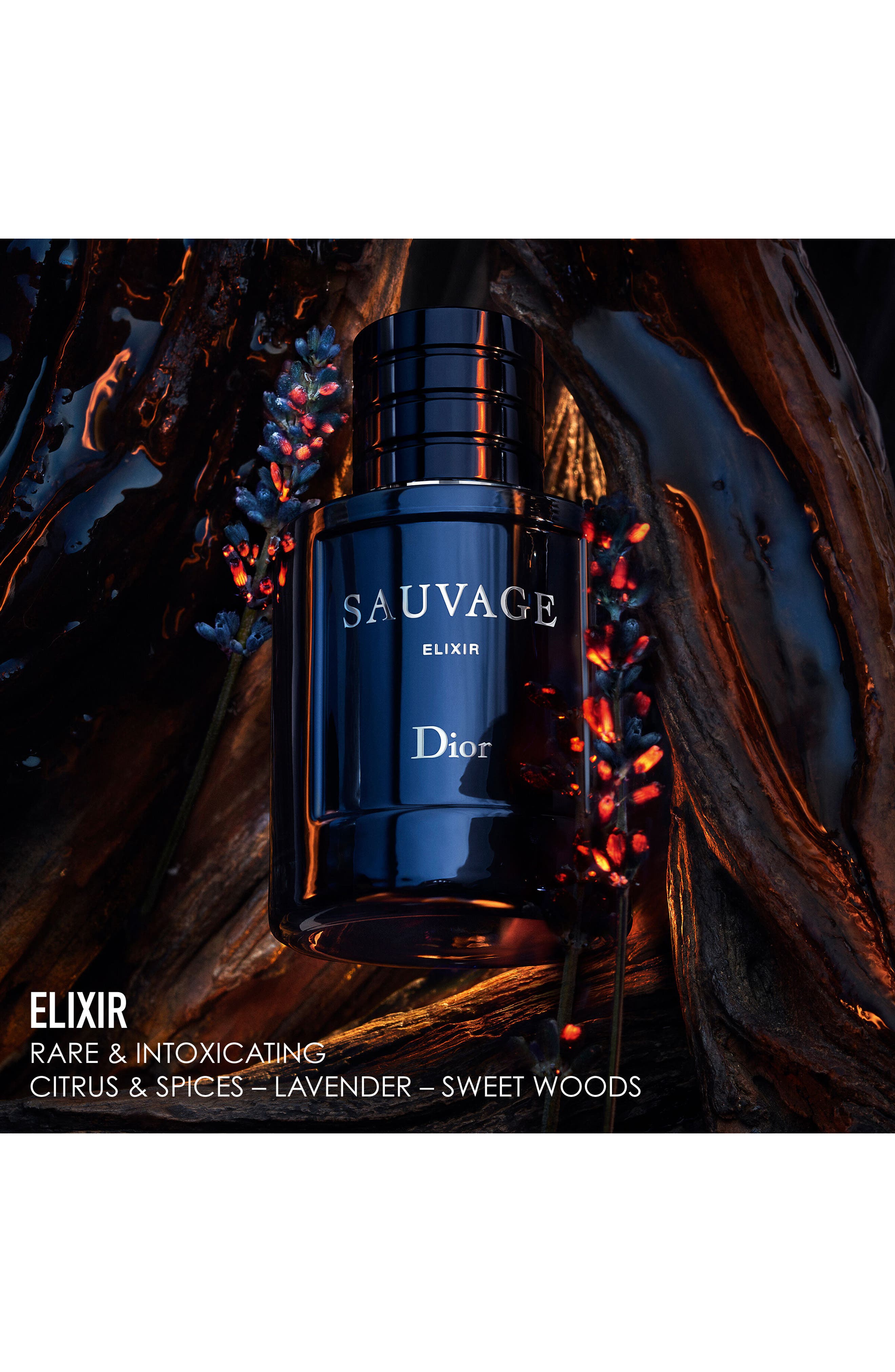 DIOR Sauvage Elixir Fragrance | Nordstrom