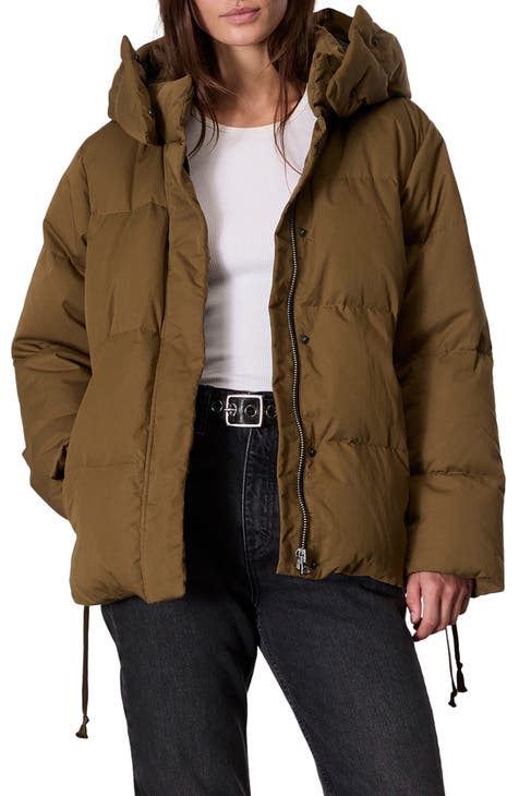 Women's Contemporary Coats | Nordstrom