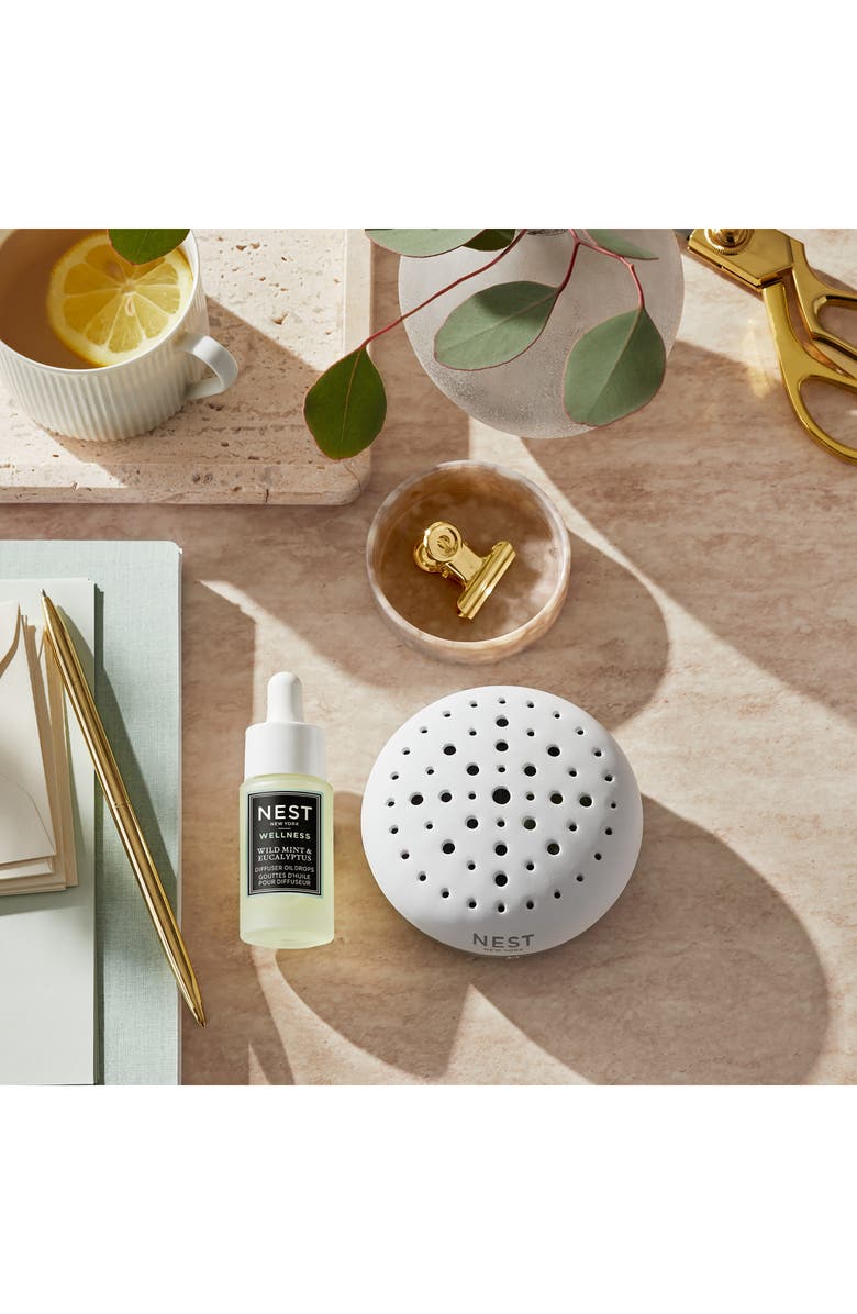 NEST New York Portable Fragrance Diffuser Set | Nordstrom