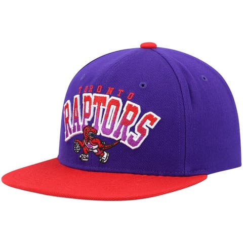 Men's Toronto Raptors Hats | Nordstrom