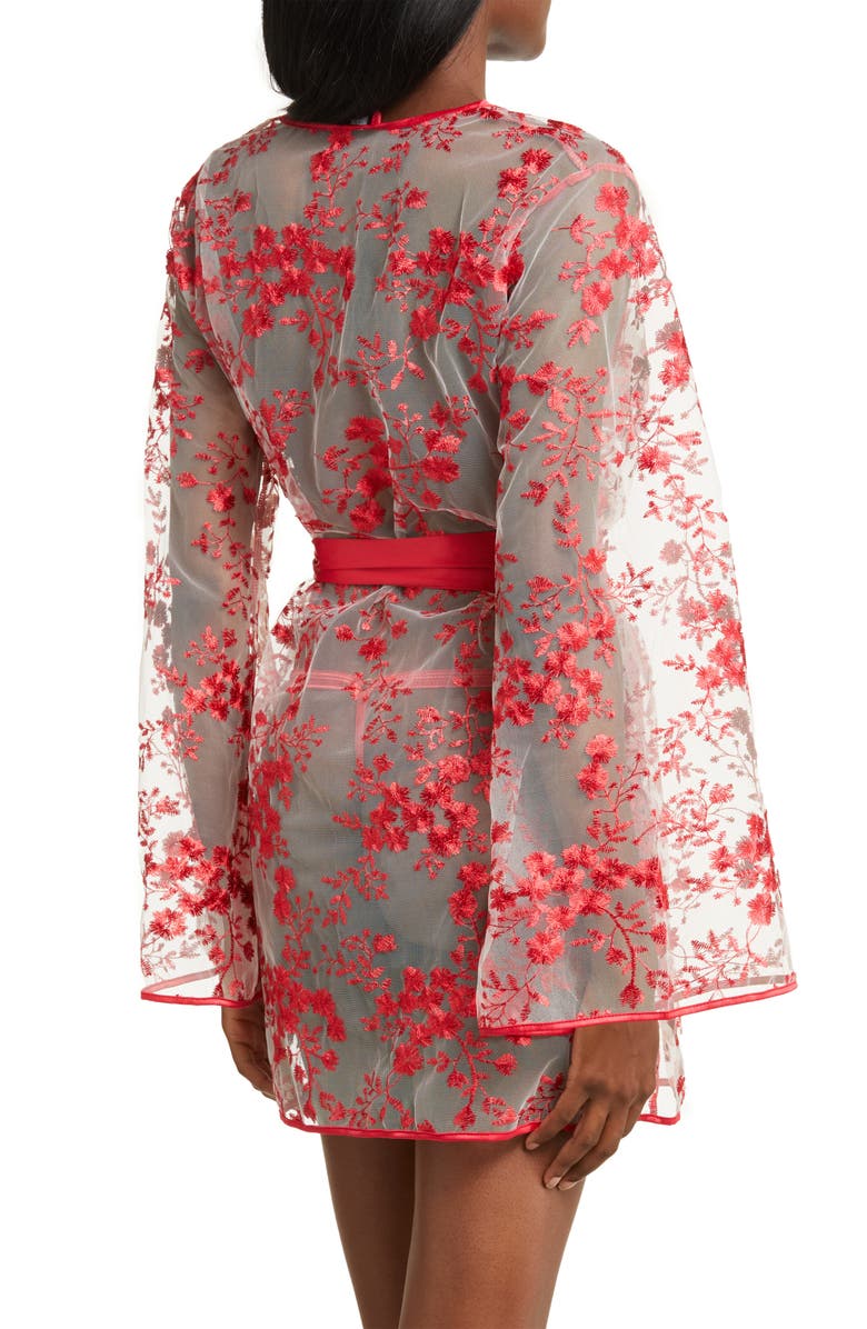 Coquette Floral Embroidered Sheer Mesh Robe | Nordstrom