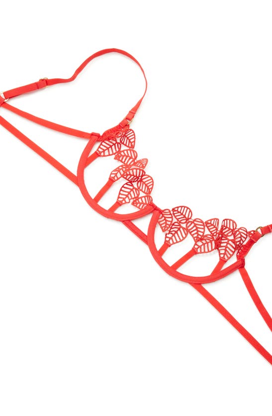 Bluebella Sapphira Crochet Leaf Semi Open Cup Bra In Red Modesens