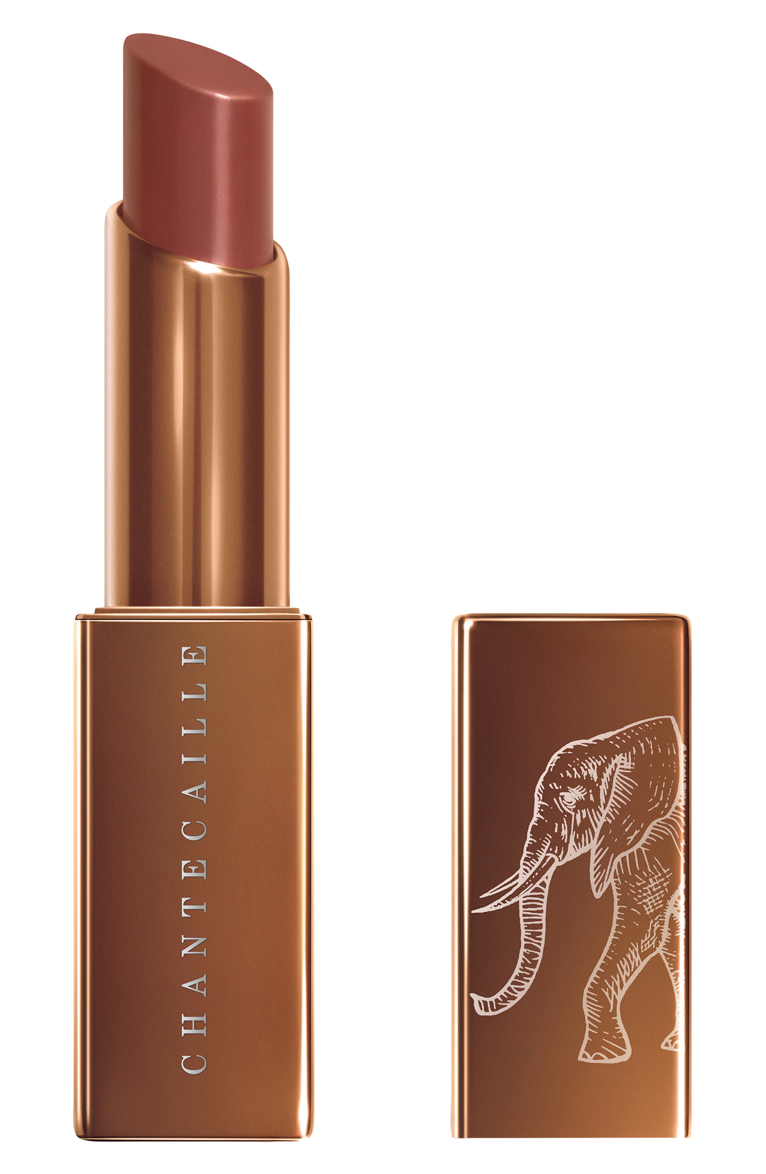 UPC 656509036301 - Chantecaille Lip Veil - # Tamarind (Limited Edition ...