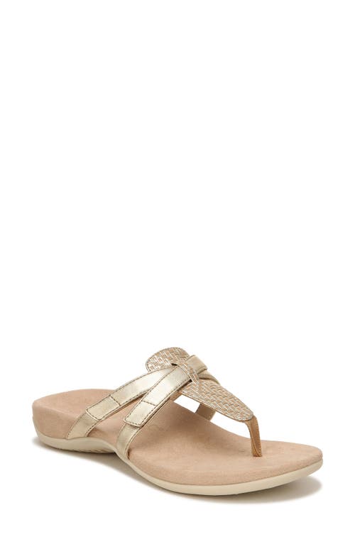 UPC 192329865818 - Vionic Karley Sandal in Gold at Nordstrom, Size 8.5 ...