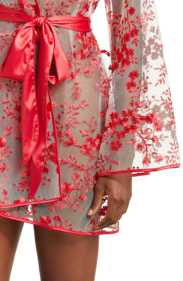 Coquette Floral Embroidered Sheer Mesh Robe | Nordstrom