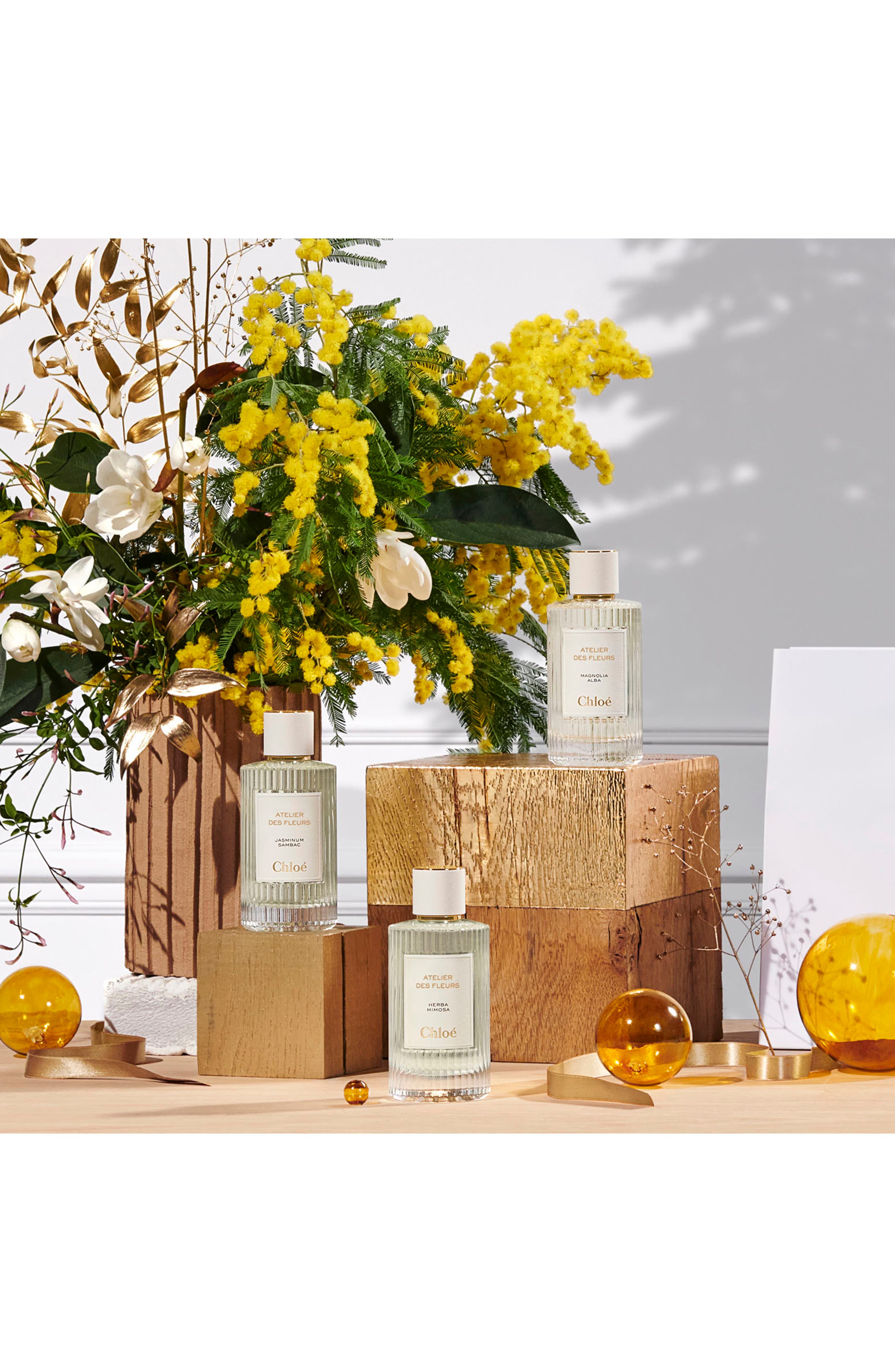 Home & Living Papyrus & Neutral Flower Box Set Floral Arrangements etna ...