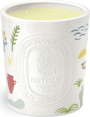 Diptyque Citronnelle Lemongrass & Orange Blossom 5-Wick Candle | Nordstrom