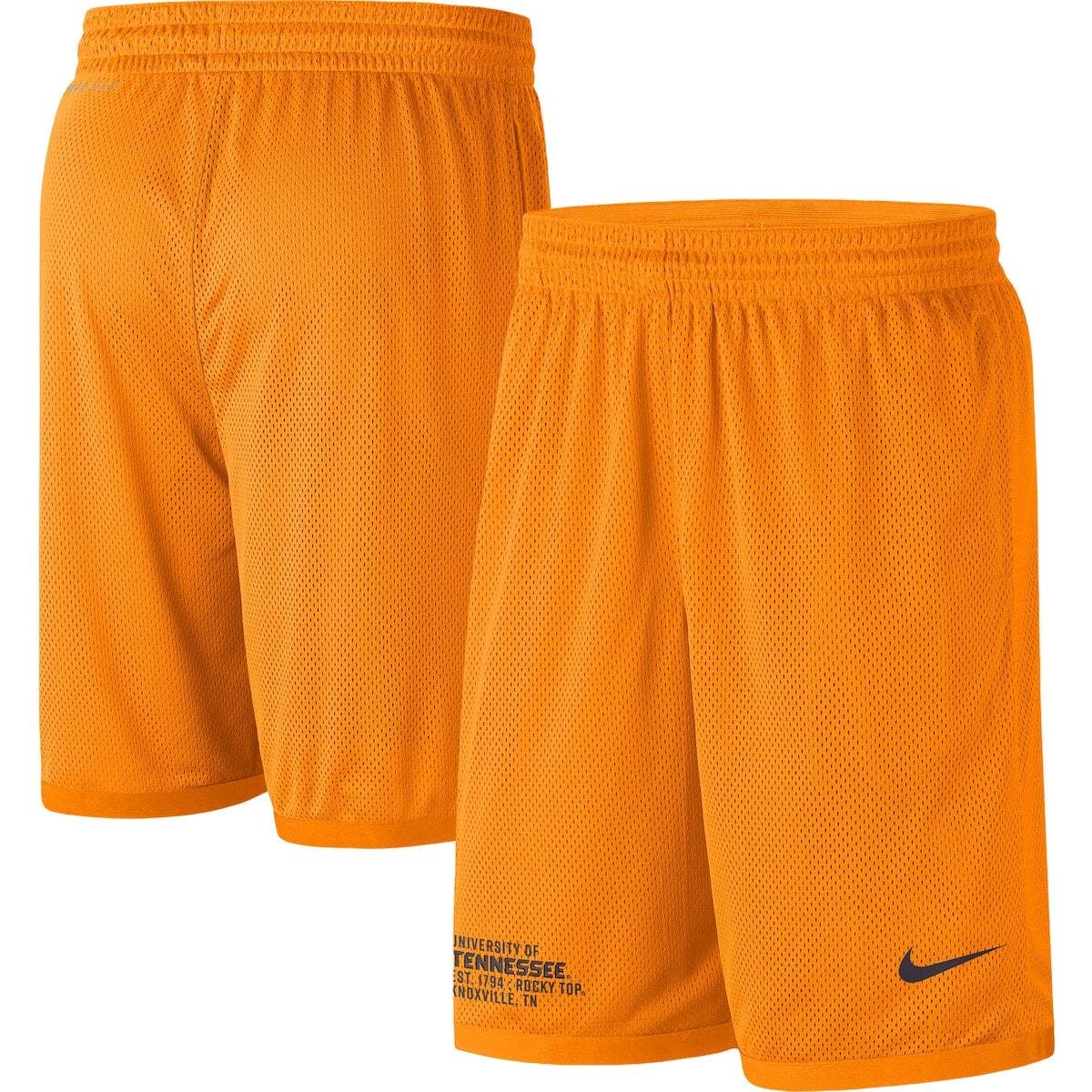 Nike Men's Nike Tennessee Orange Tennessee Volunteers Performance Mesh ...