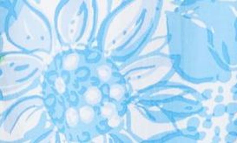 Blue Lilly Pulitzer Background