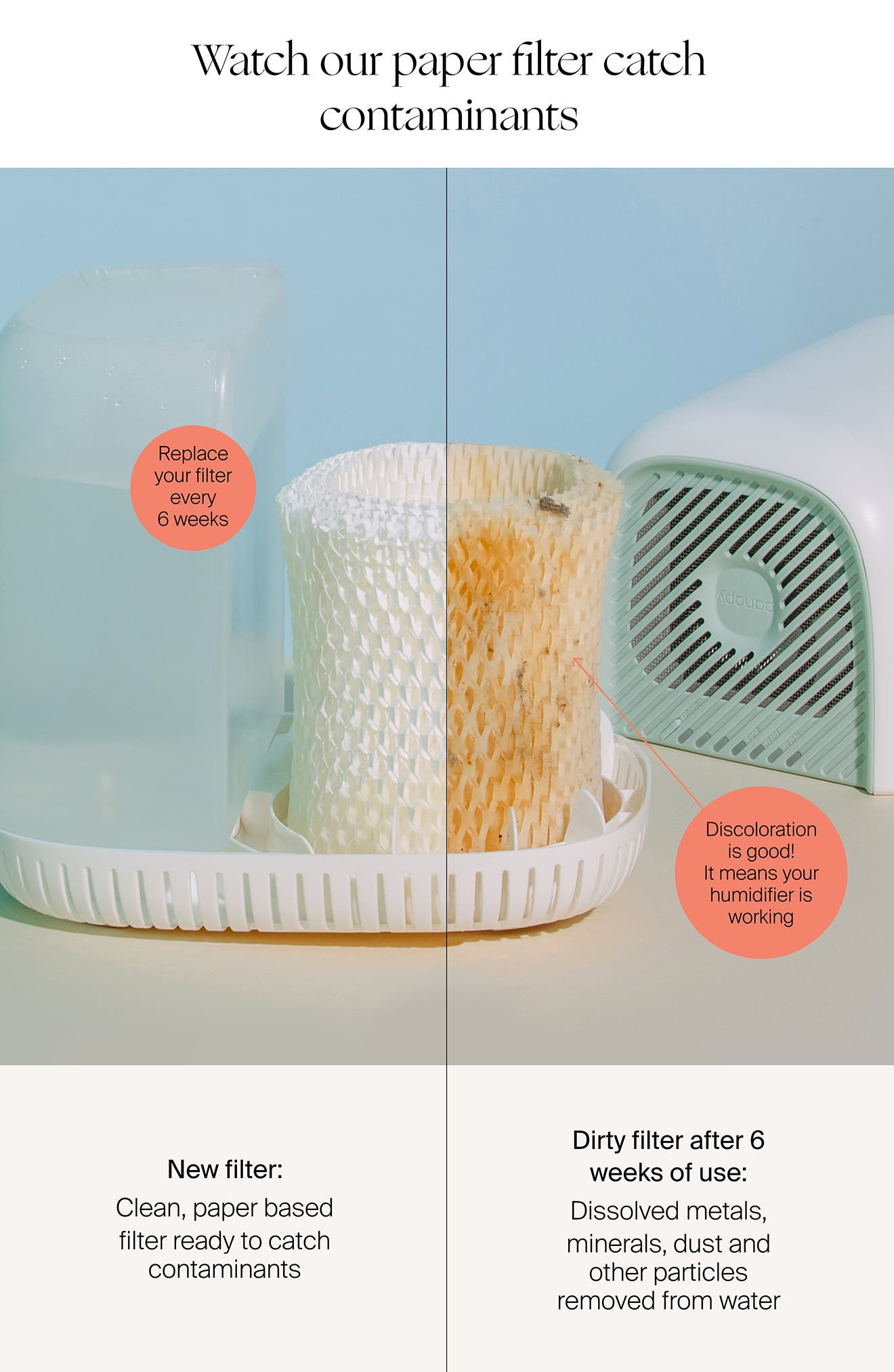 CANOPY Humidifier Starter Set | Nordstrom