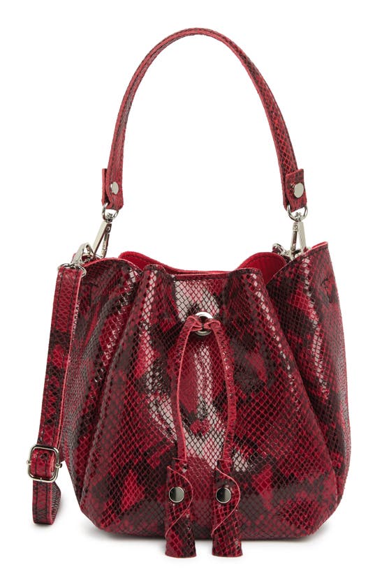 Giulia Massari Snake Skin Printed Suede Bucket Bag In Red | ModeSens
