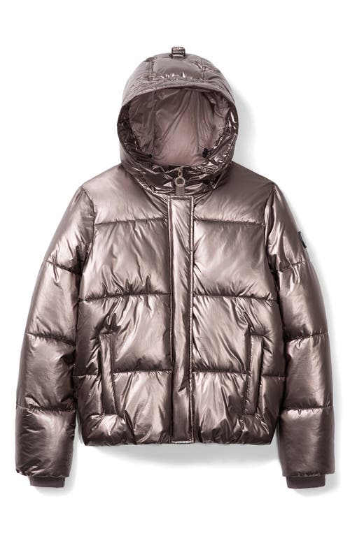 Noize Keva-m Hooded Puffer Jacket In Mauve Metal | ModeSens
