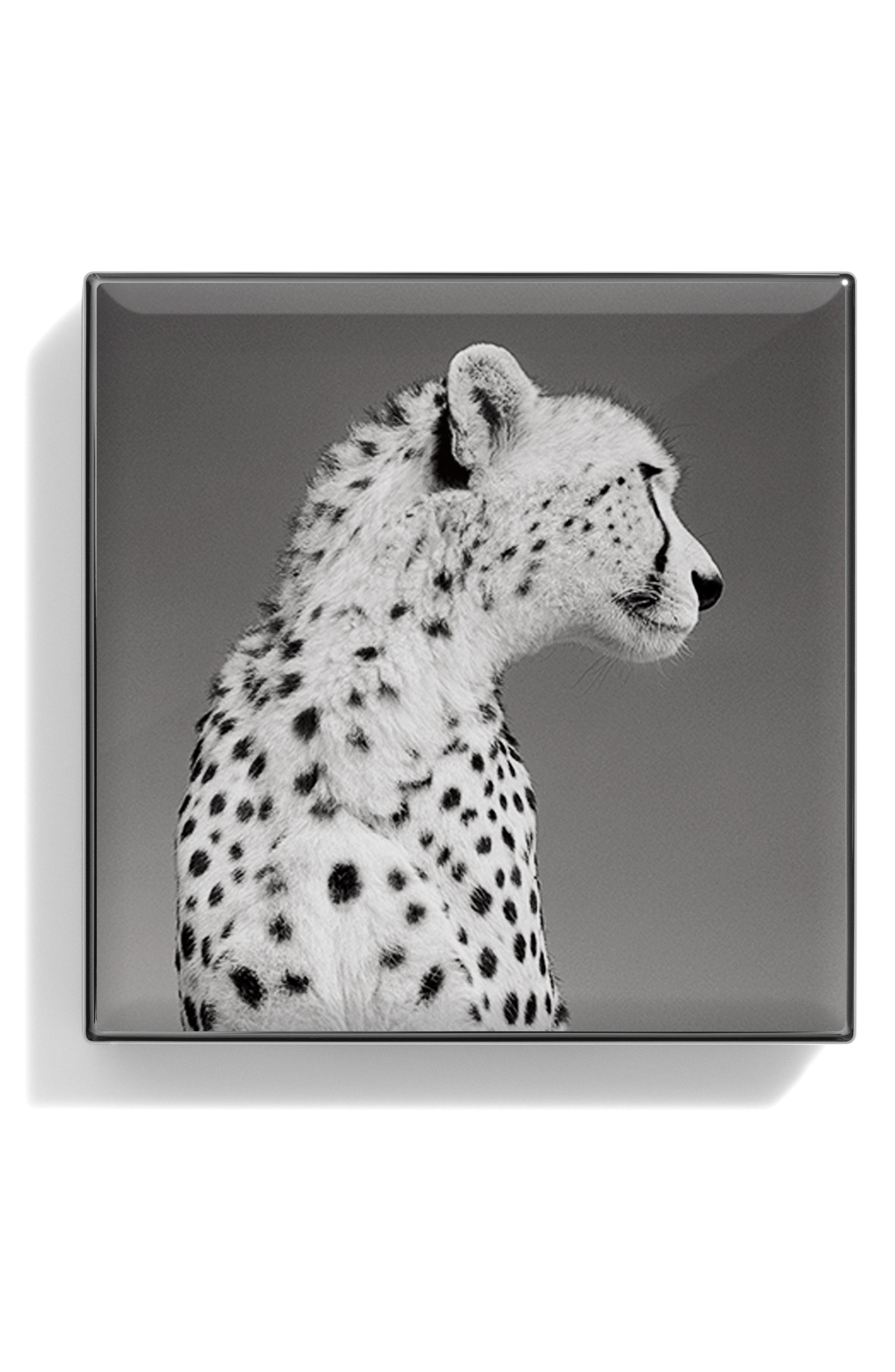 Chantecaille Luminescent Eye Shade Eyeshadow | Nordstrom