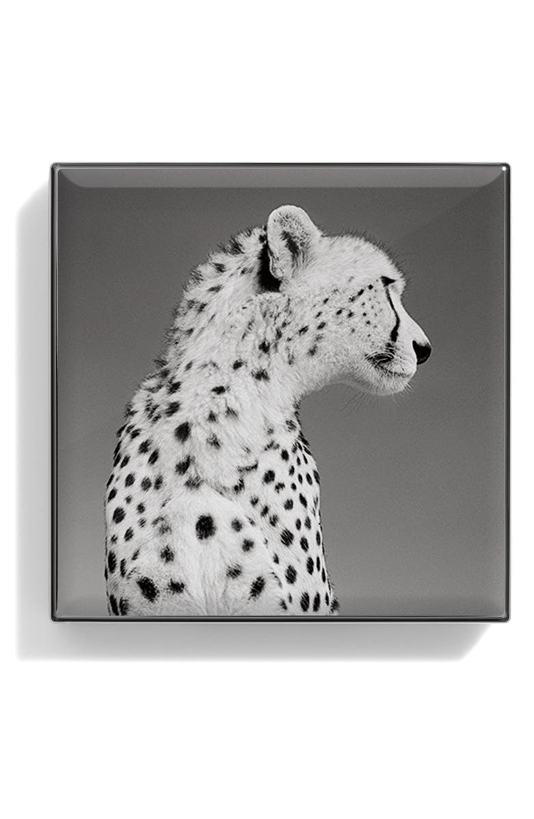 Chantecaille Luminescent Eye Shade Eyeshadow | Nordstrom