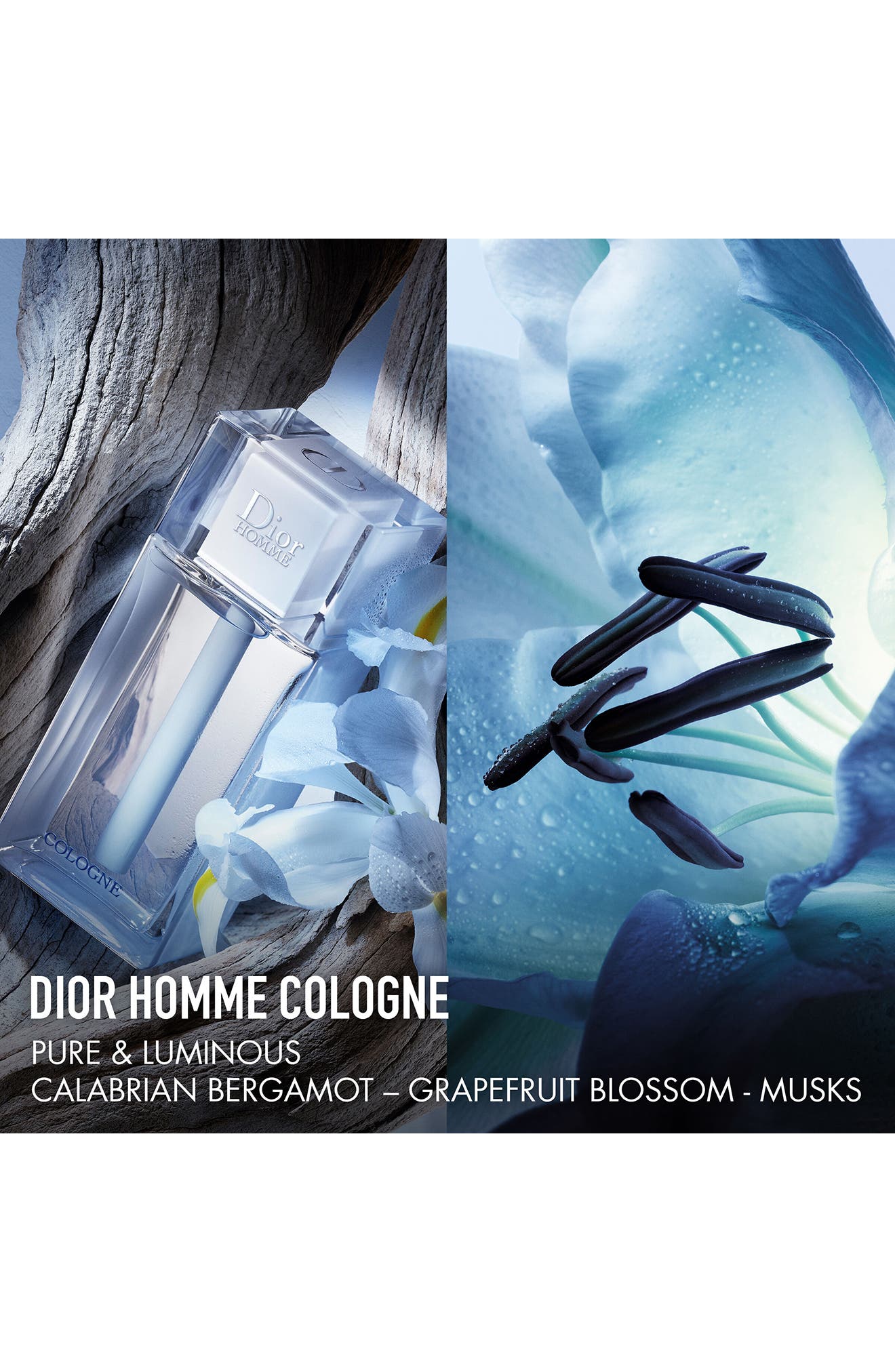 DIOR Homme Cologne | Nordstrom