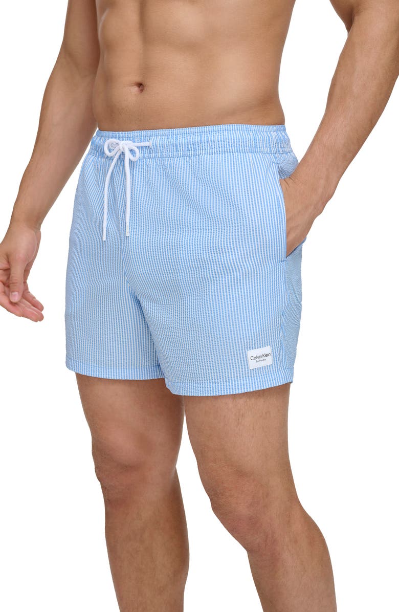 Calvin Klein Modern Euro Seersucker Swim Trunks | Nordstromrack