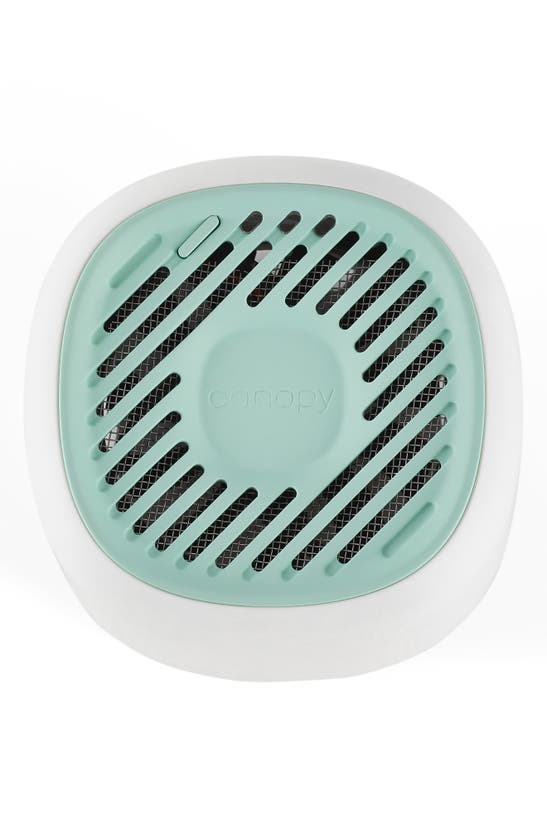 Canopy Waterless Diffuser In Green | ModeSens