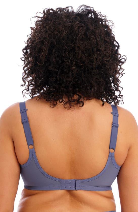 Elomi Matilda Full Figure Underwire Plunge Bra In Denim Daisy Modesens