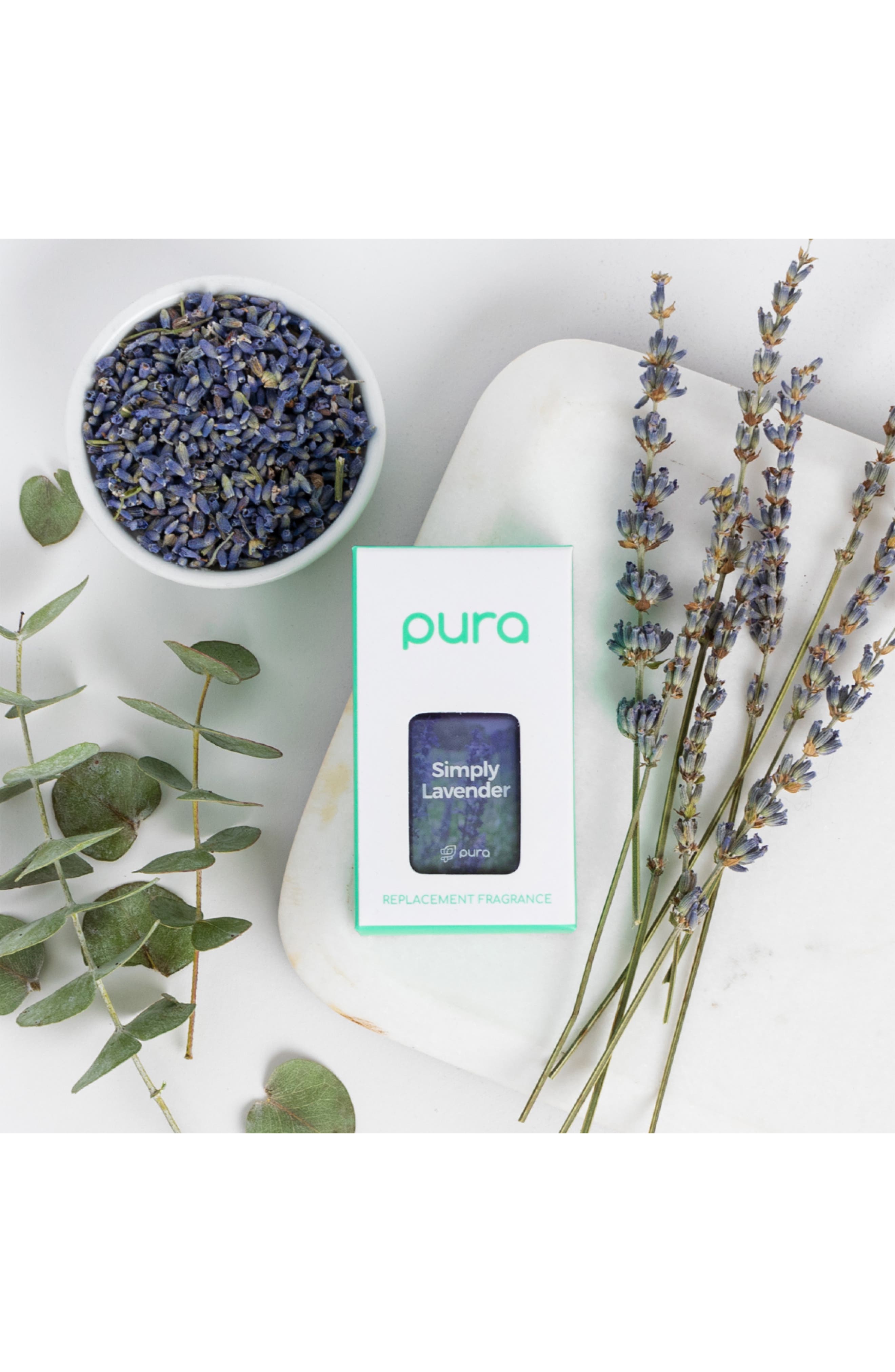 PURA 2-Pack Diffuser Fragrance Refills | Nordstrom
