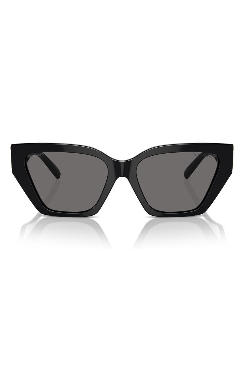Tiffany And Co 55mm Polarized Cat Eye Sunglasses Nordstrom