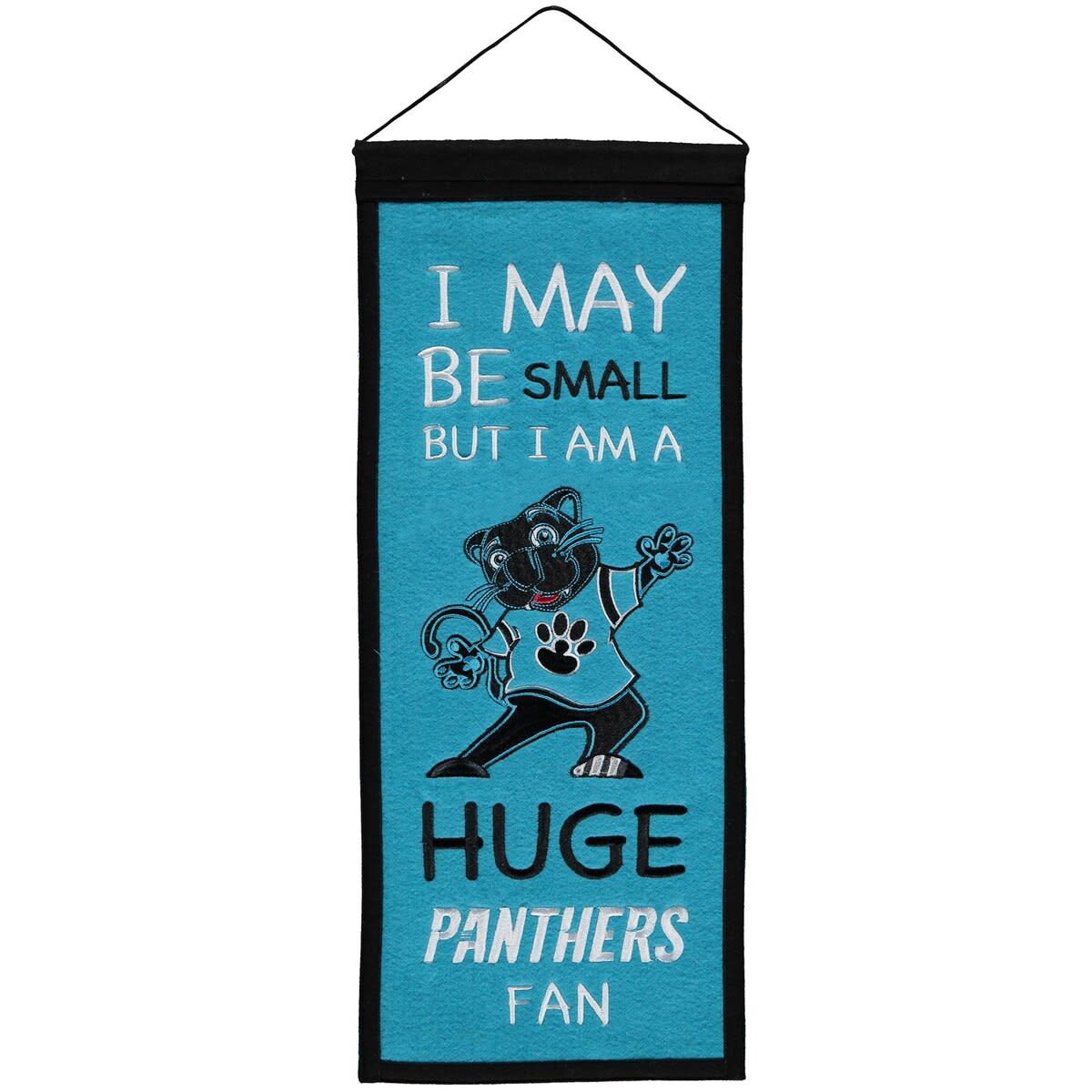 WINNING STREAK Carolina Panthers 6" x 15" Mascot Mini Banner | Nordstrom