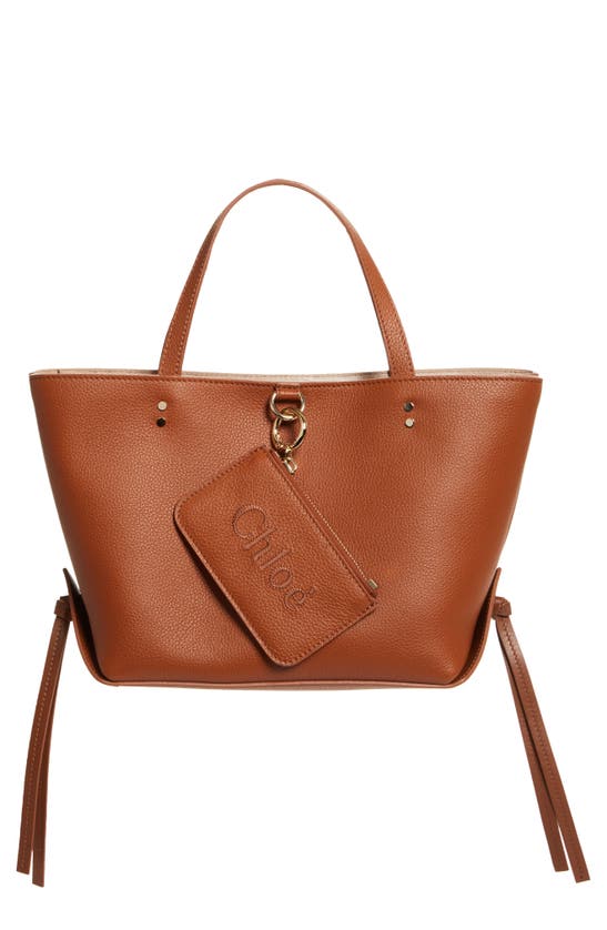 Chloé Small Sense Leather East/west Crossbody Tote In 25m Tan | ModeSens