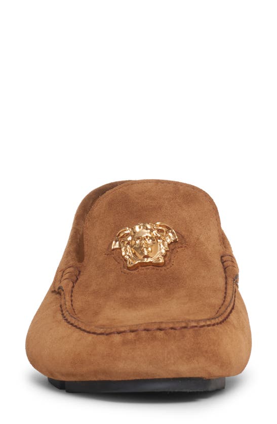 Versace Medusa Driving Shoe In Dark Toffee Gold | ModeSens