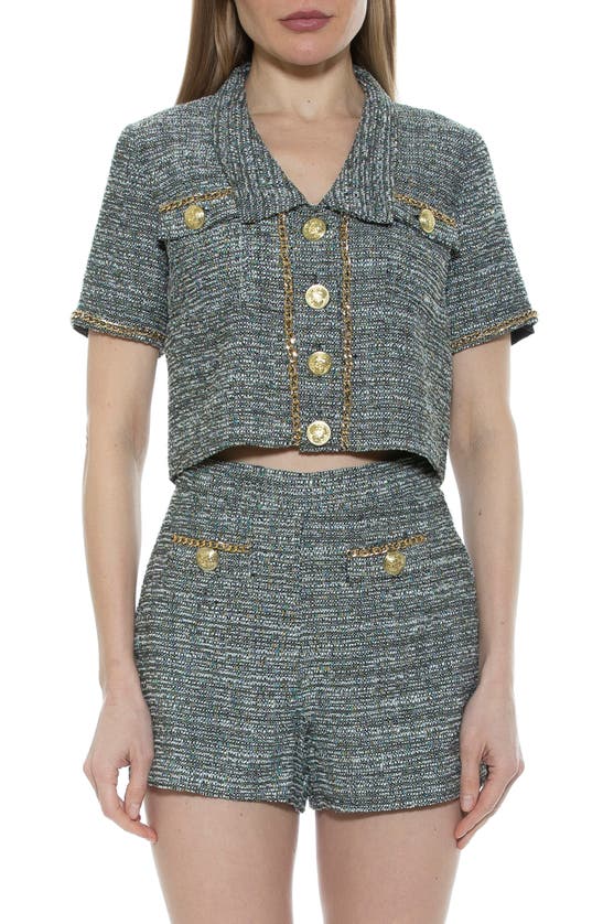 Alexia Admor Selena Short Sleeve Cropped Tweed Blazer In Grey | ModeSens
