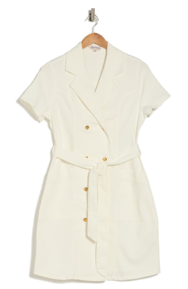 Nanette Lepore Double Breasted Denim Shirtdress | Nordstromrack