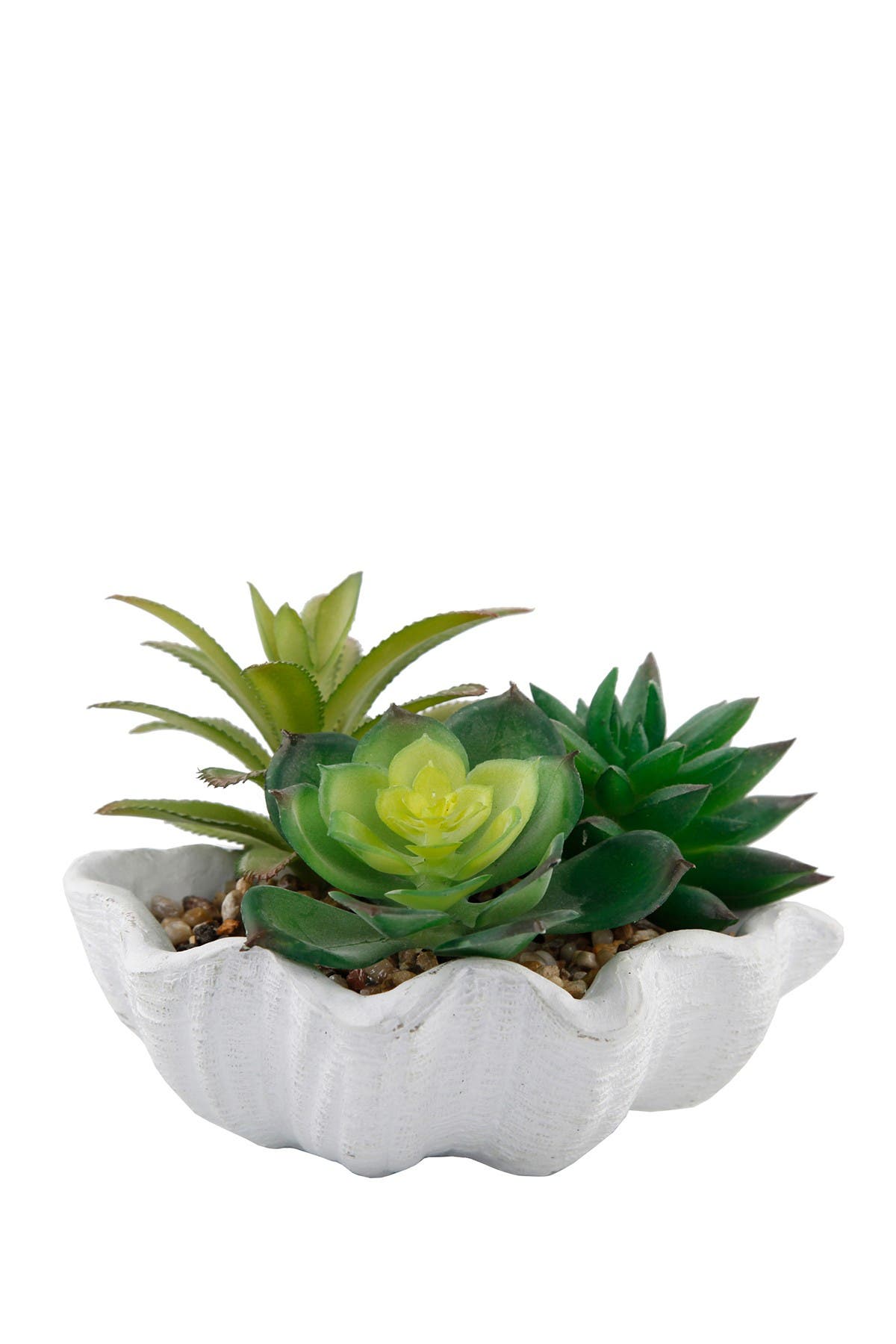 FLORA BUNDA White Faux Succulent Cement Shell Planter | Nordstromrack
